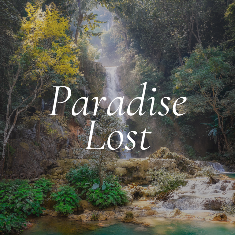 Paradise Lost - Trinity Pentecostal Church