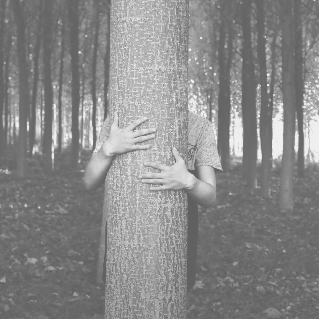 Hiding or Hidden? - Trinity Pentecostal Church
